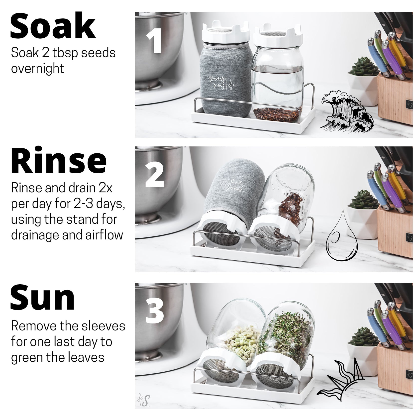 Sun & Sprouts Sprouting Kits