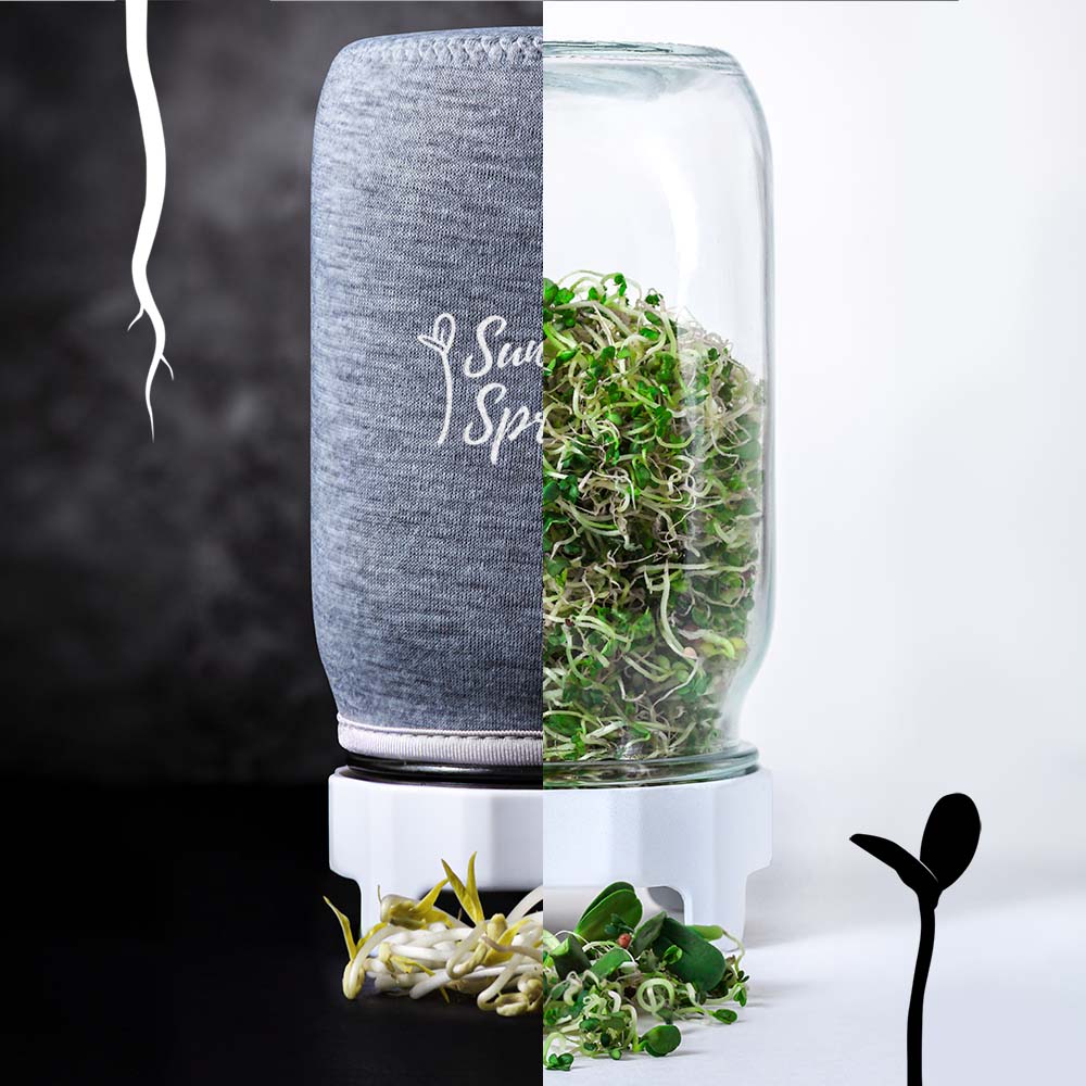 "Perfect sprouts in 5 days. So easy!" – Sun & Sprouts