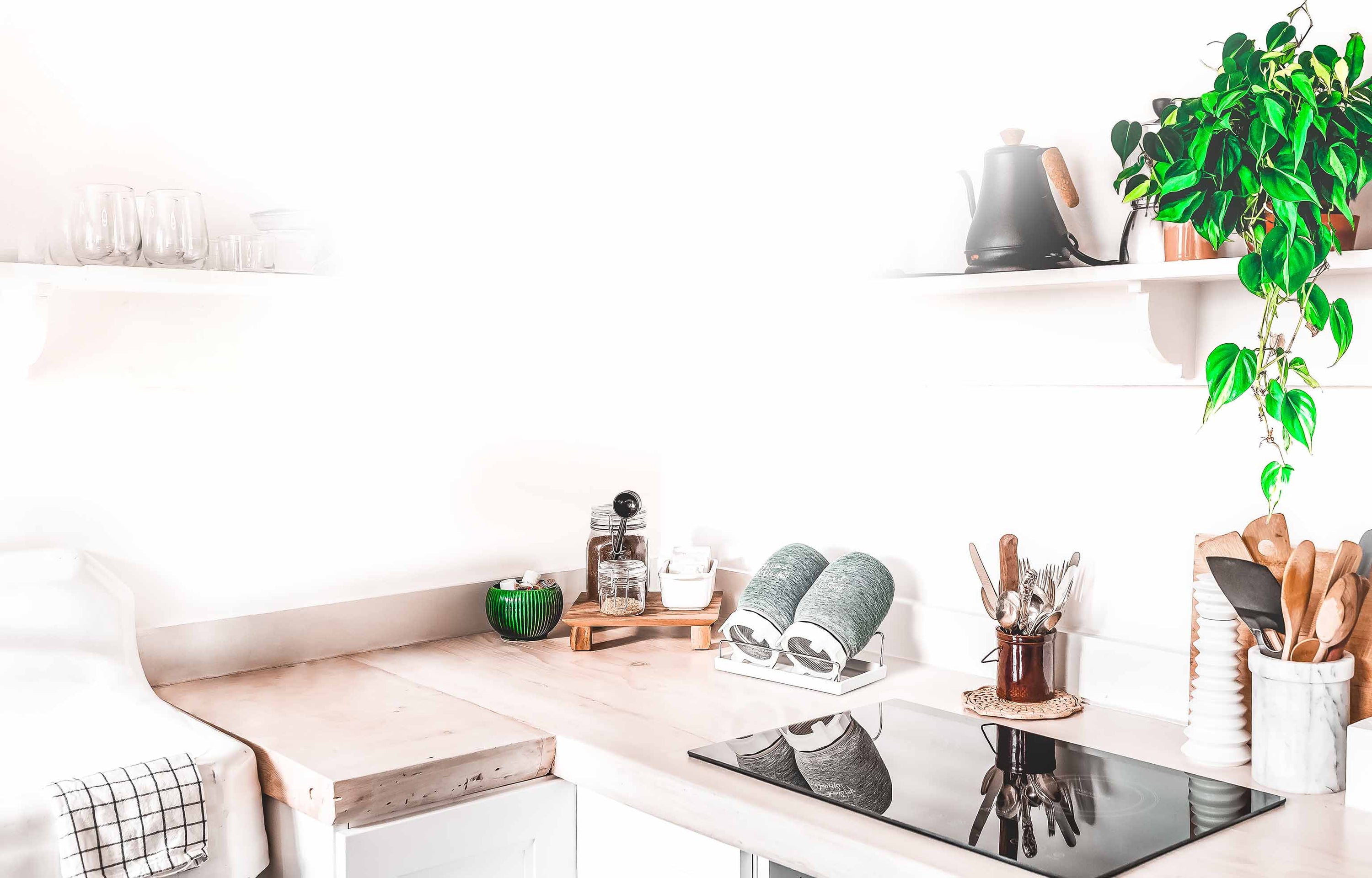 Sun & Sprouts Sprouting Kits