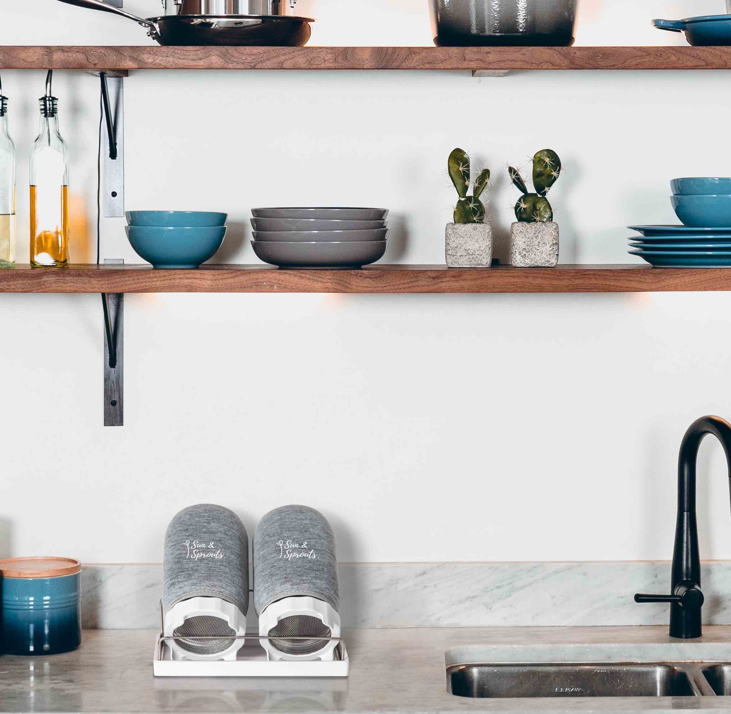 Sun & Sprouts Sprouting Kits