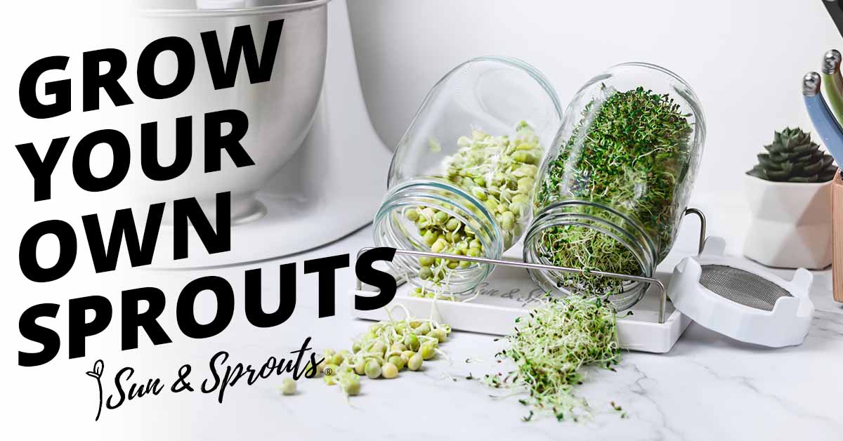 Sun & Sprouts Sprouting Kits