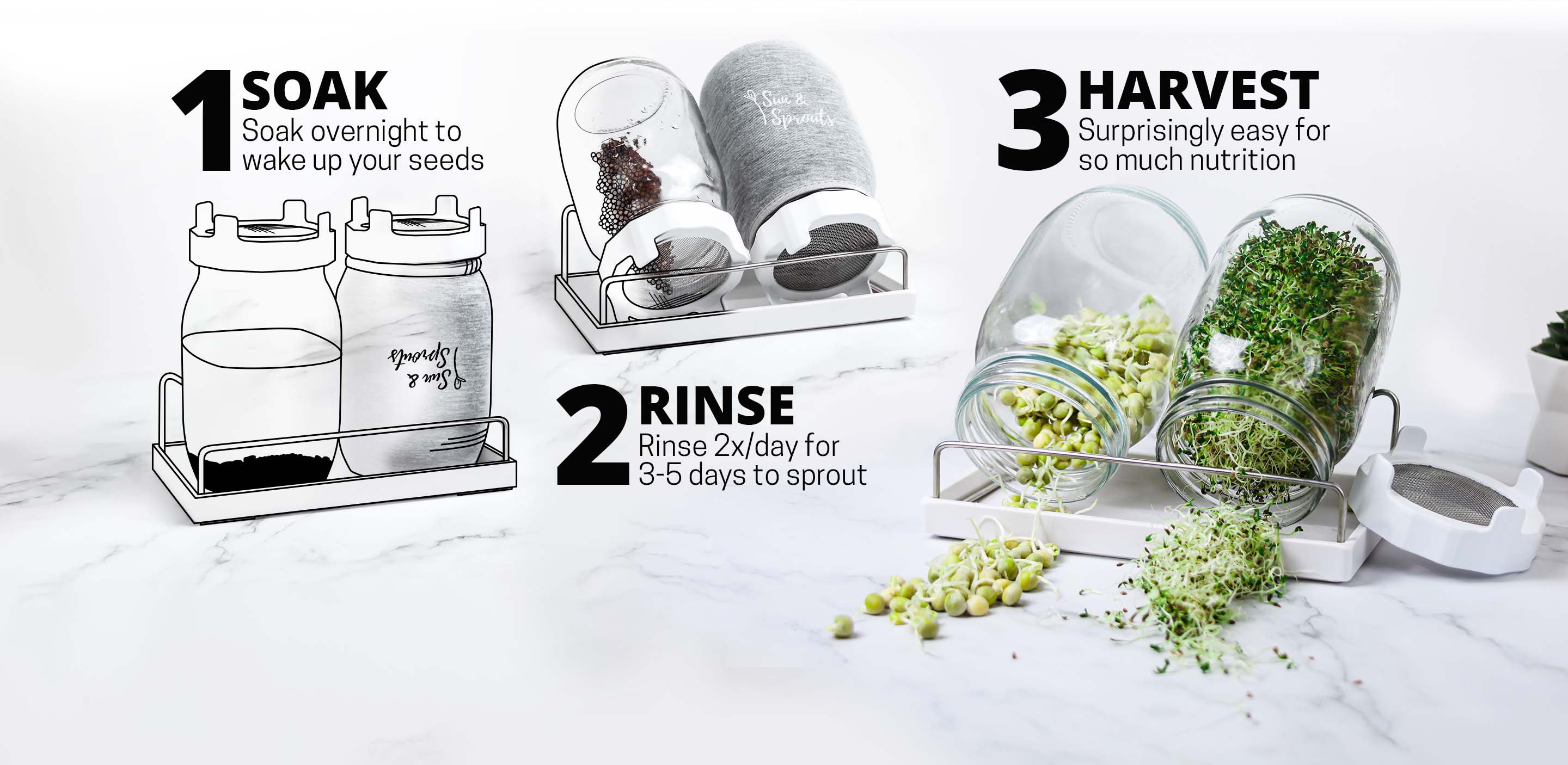 Sun & Sprouts Sprouting Kits
